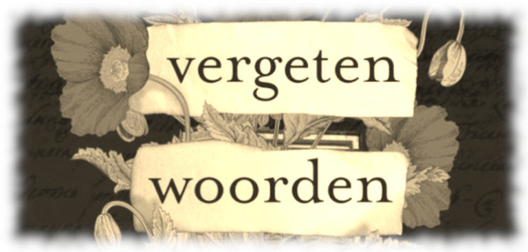 Een duik in de wereld van vergeten woorden - Boekrecensies Blog